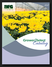 Catalogs and Flyers | BFG Supply