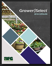 Catalogs and Flyers | BFG Supply