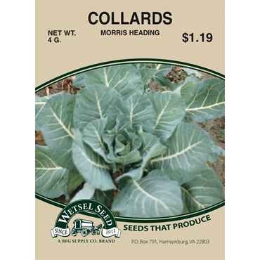 Collards, Morris Heading 4 Gram | BFG Supply