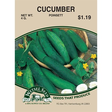 Cucumber, Poinsett 76 4 Gram | BFG Supply