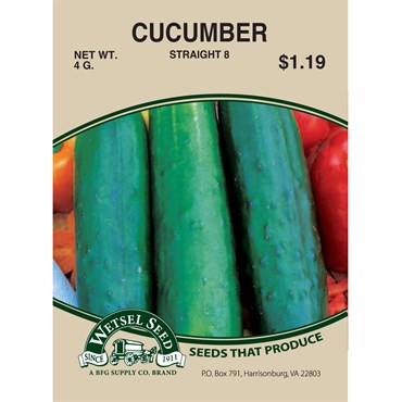 Cucumber, Straight 8 4 Gram | BFG Supply