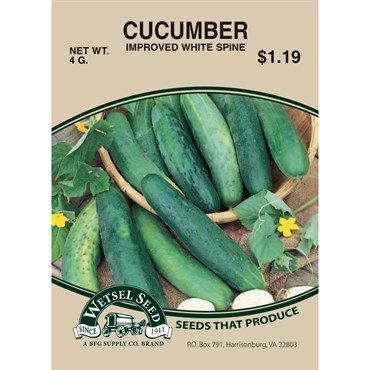 Cucumber, White Spine - 4 grams | BFG Supply