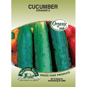 Organic Straight 8 Cucumber 4G Pkt | BFG Supply