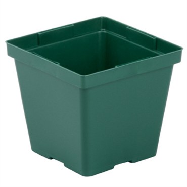 Dillen 4In Square Thinwall Pot with Tag Locator - Green - 846 Per Case ...