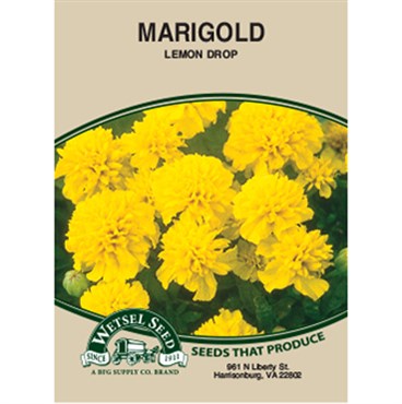 Marigolds, Lemon Drop 280 Mg | BFG Supply