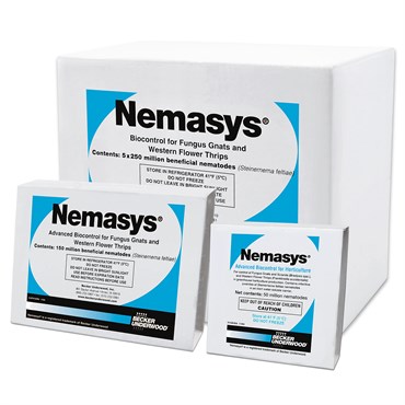 BASF Nemasys 50 MiIlion (Min 5 Packs Direct) | BFG Supply