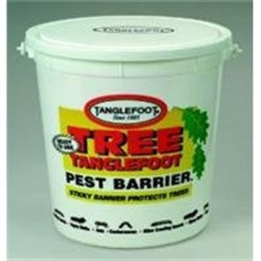 TREE TANGLEFOOT PEST BARRIER 5LB/PAIL | BFG Supply