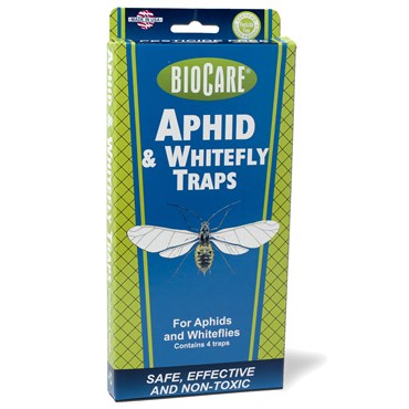 Springstar BioCare Aphid & White Trap 4pk | BFG Supply