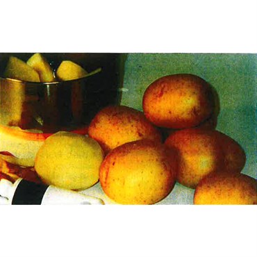 EVA Potatoes Size B 50# | BFG Supply