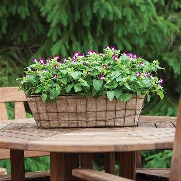 Panacea 24in Rustic Woven Wire Window Box w/Burlap Liner | BFG Supply