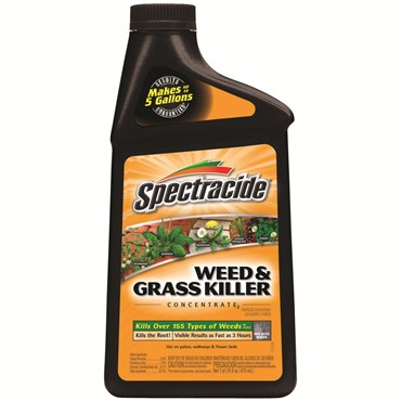 Spectracide 16oz Weed & Grass Killer Concentrate | BFG Supply