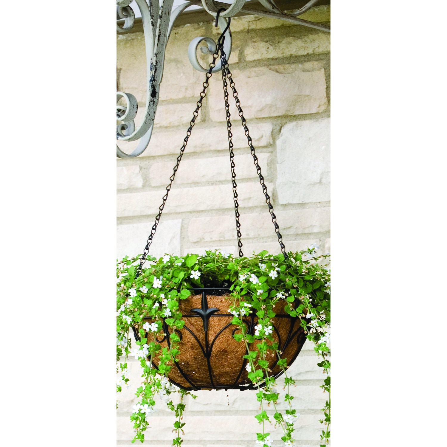 Product | BFG Supply