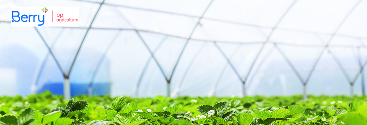 Greenhouse, Nursery, Garden & Plant Supplies | BFG Supply