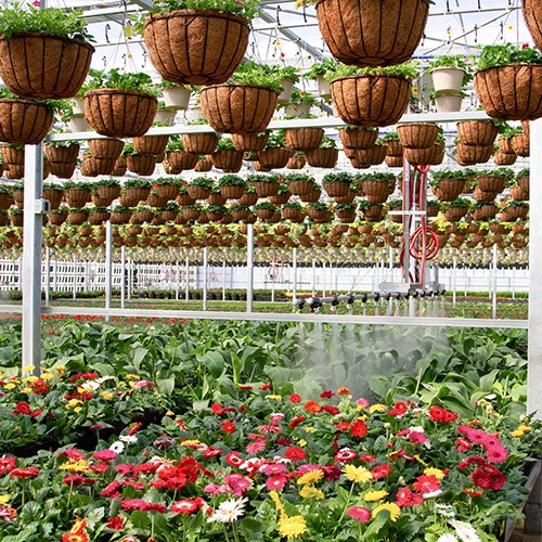 Subcategory | BFG Supply