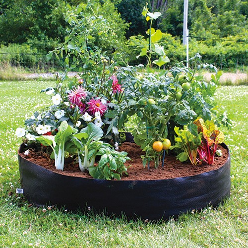 Subcategory | BFG Supply