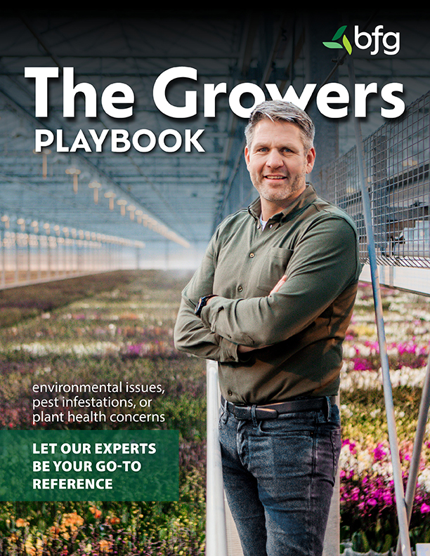 Catalogs and Flyers | BFG Supply