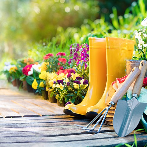 Category | BFG Supply