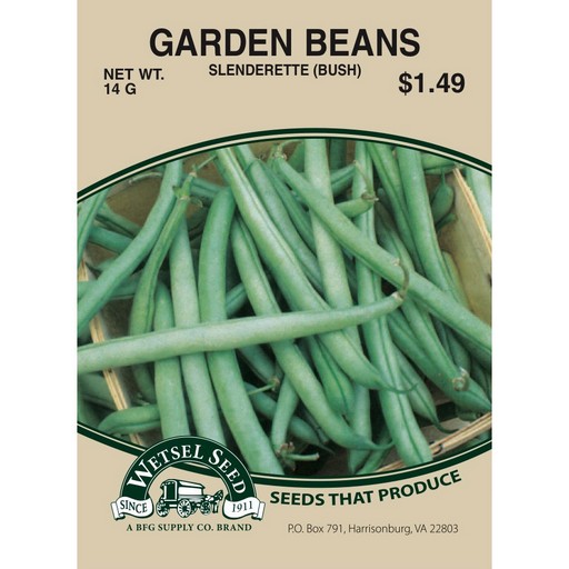 Category | BFG Supply