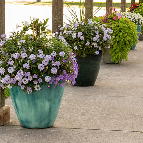 Subcategory | BFG Supply