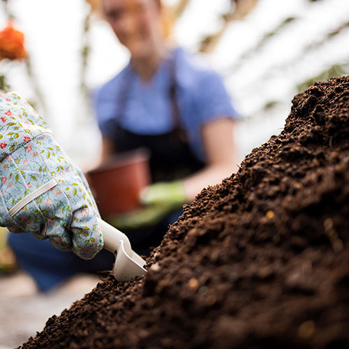 Subcategory | BFG Supply